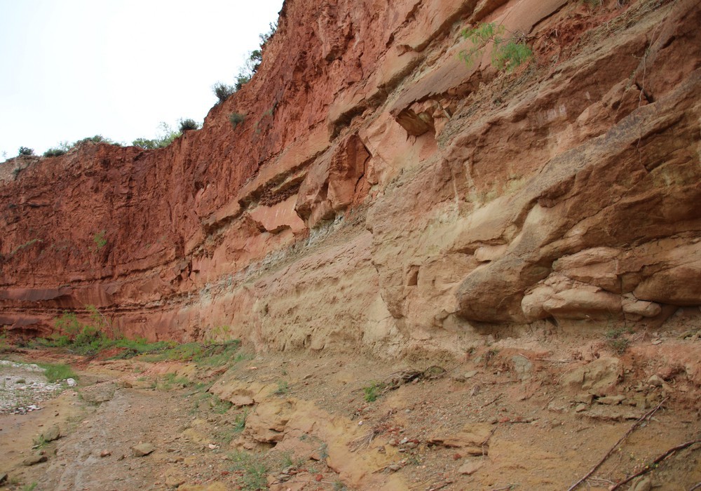 Geology - Southwest Section of the American Association of Petroleum ...